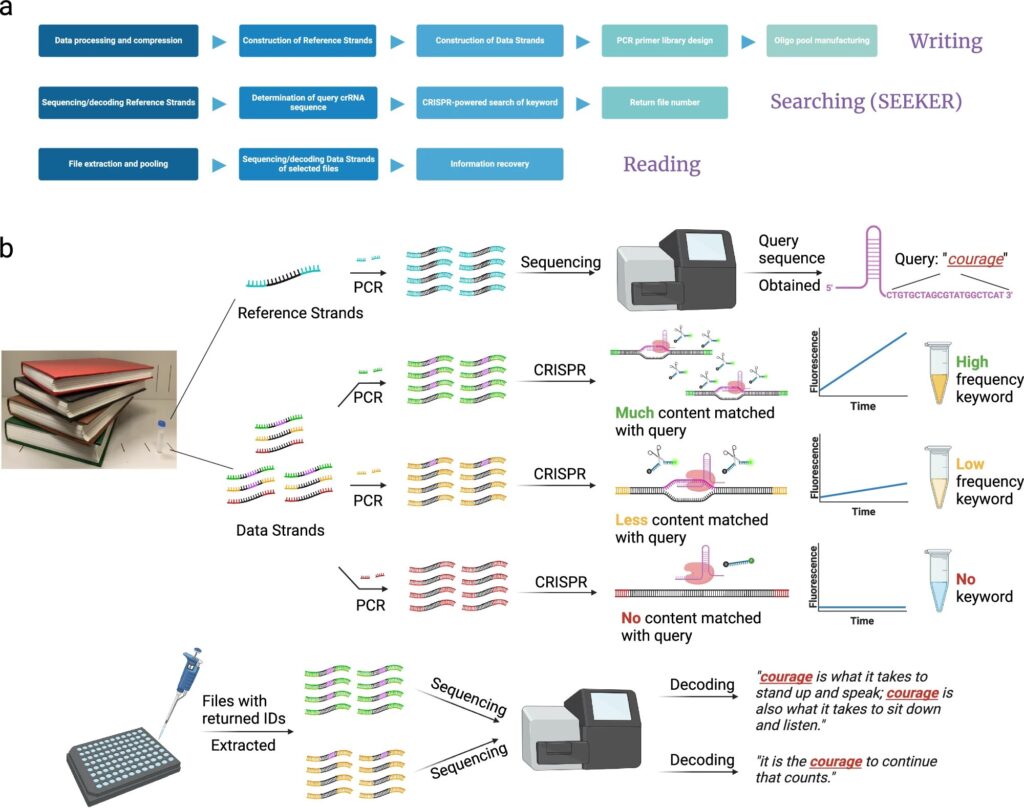 Searching for data in DNA using CRISPR – 5gantennas.org